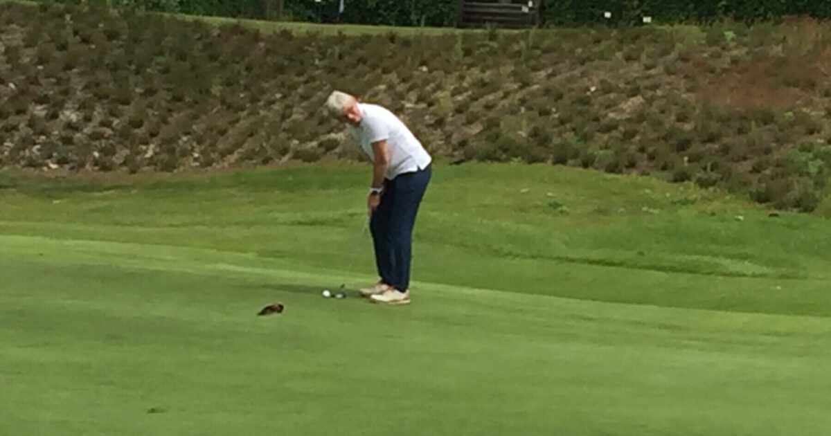 GV Dameskalender | Golf Vlaanderen